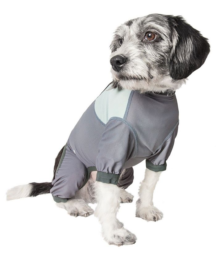 Dog Helios 'Tail Runner' Lightweight Full Body Performance Dog Track ...