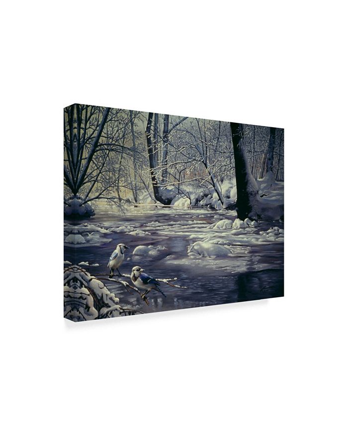 Trademark Global D. Rusty Rust 'Winters Wonder' Canvas Art - 24" x 18 ...