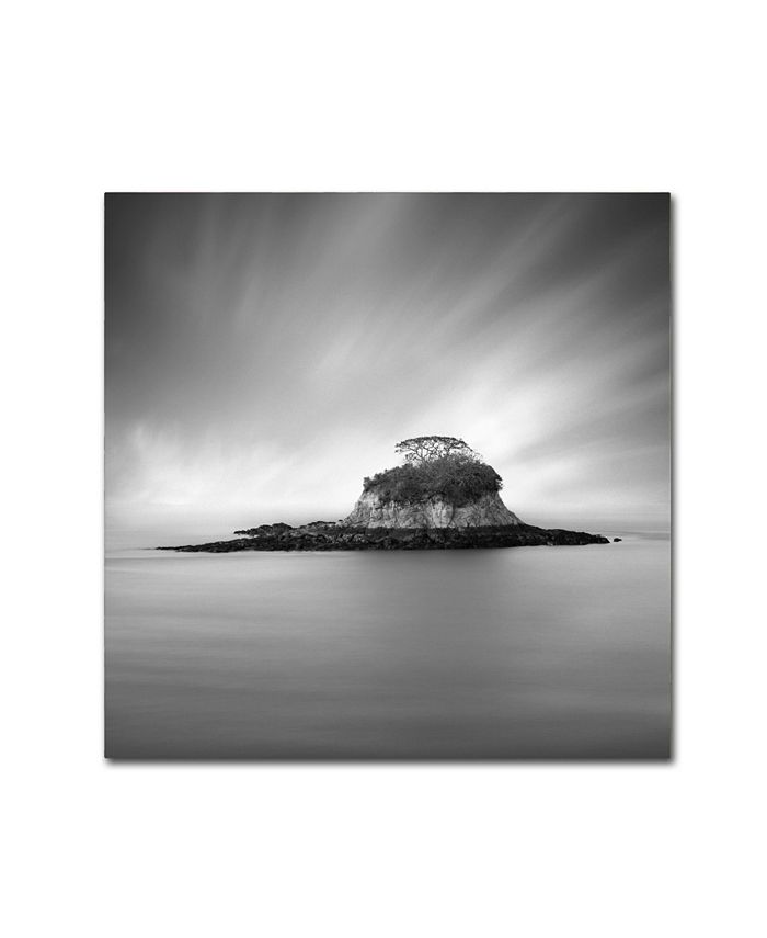 Trademark Global Moises Levy 'Rat Island' Canvas Art - 35" x 35" x 2 ...