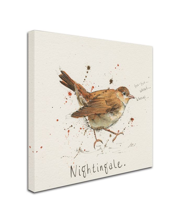 Trademark Global Michelle Campbell 'Nightingale' Canvas Art - 14" x 14 ...