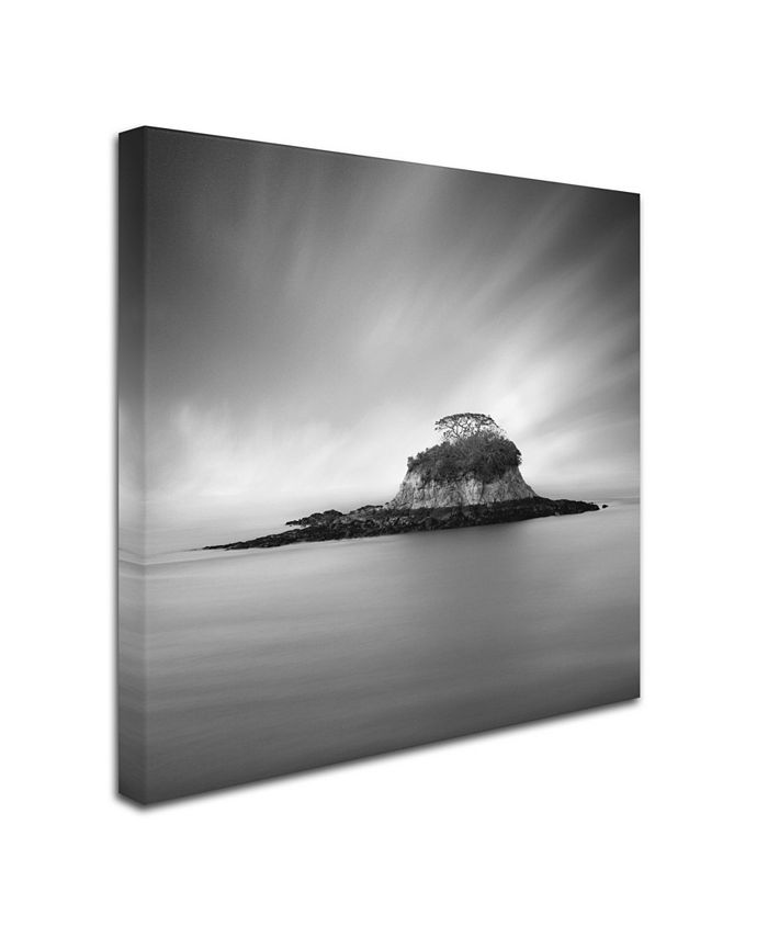 Trademark Global Moises Levy 'Rat Island' Canvas Art - 35" x 35" x 2 ...