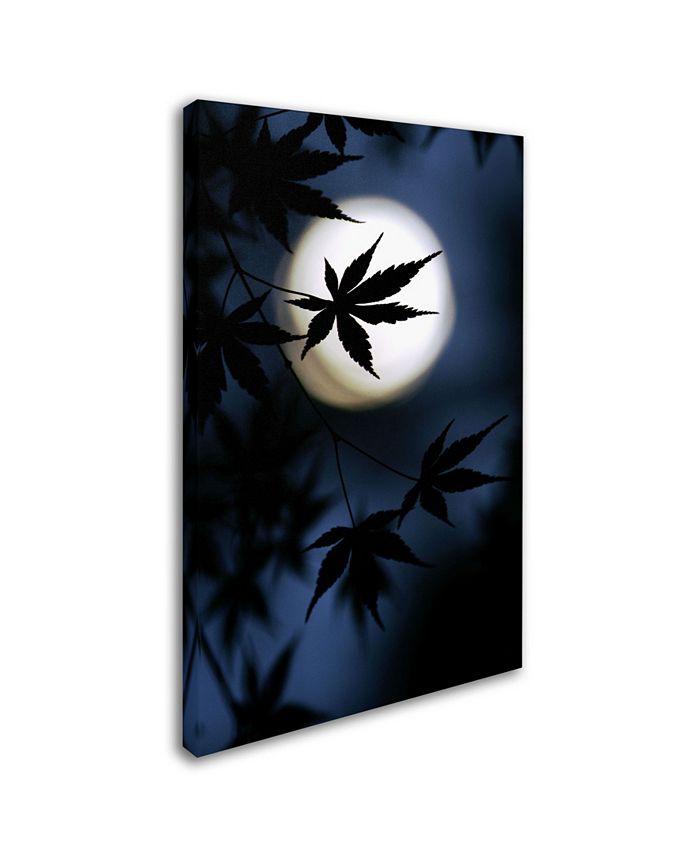 Trademark Global Kouji Tomihisa 'Color Of Japan' Canvas Art - 32" x 22" x 2" - Macy's