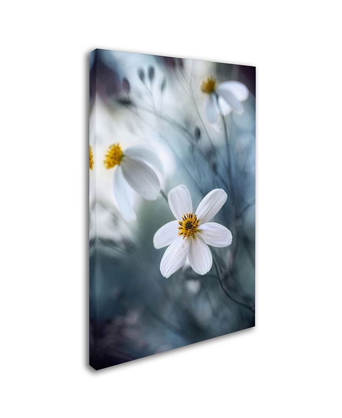Trademark Global Mandy Disher 'Cosmos' Canvas Art - 32" x 22" x 2" - Macy's