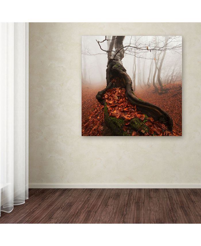 Trademark Global Martin Rak 'Ancient Tree' Canvas Art - 14" x 14" x 2 ...