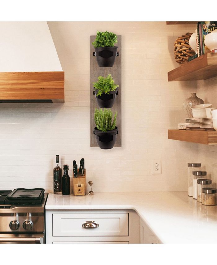 Bloem Self-Watering Herb Trio Hanging Vertical Wall Planter Kit - Macy's