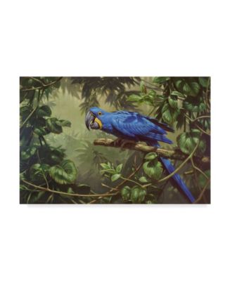Michael Jackson 'Hyacinth Macaw' Canvas Art - 24" x 16" - Macy's