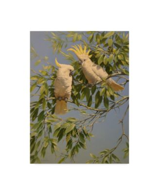 Michael Jackson 'Curious Macaws' Canvas Art - 24" x 32" - Macy's