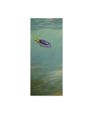 Michael Jackson 'Dory' Canvas Art - 20" x 47" - Macy's