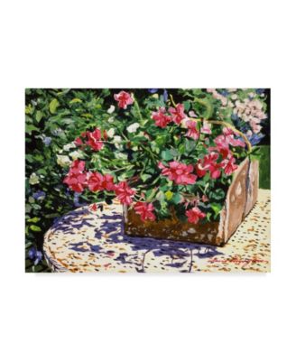 David Lloyd Glover 'Tin Flower Box On Wicker Table' Canvas Art - 24" x ...