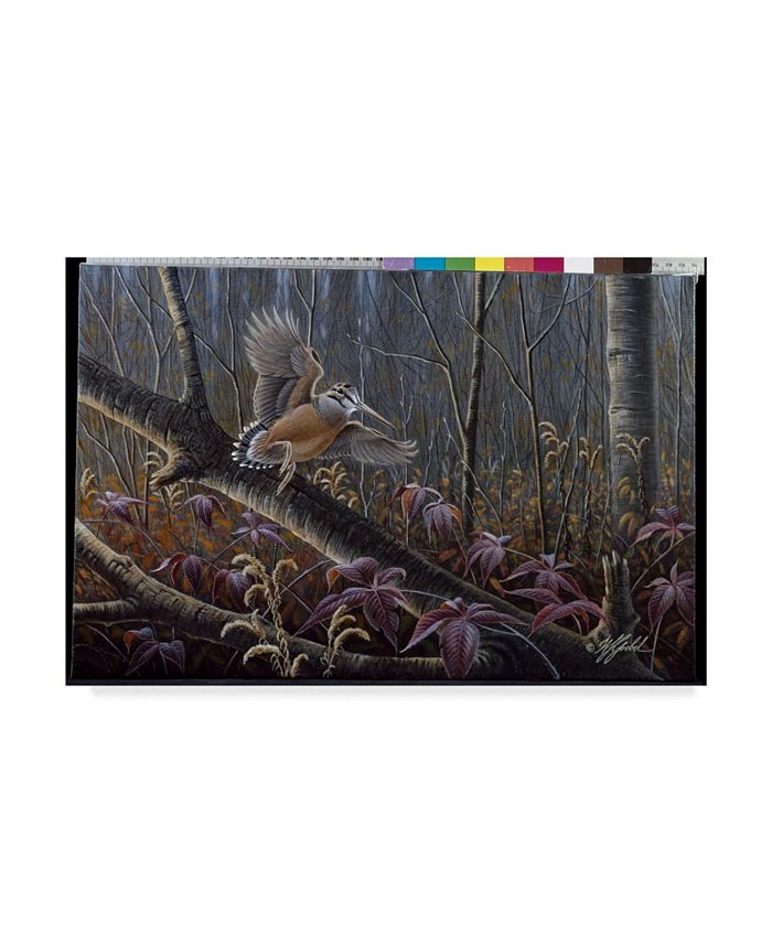Trademark Global Wilhelm Goebel 'Windfall Woodcock' Canvas Art - 30" x ...