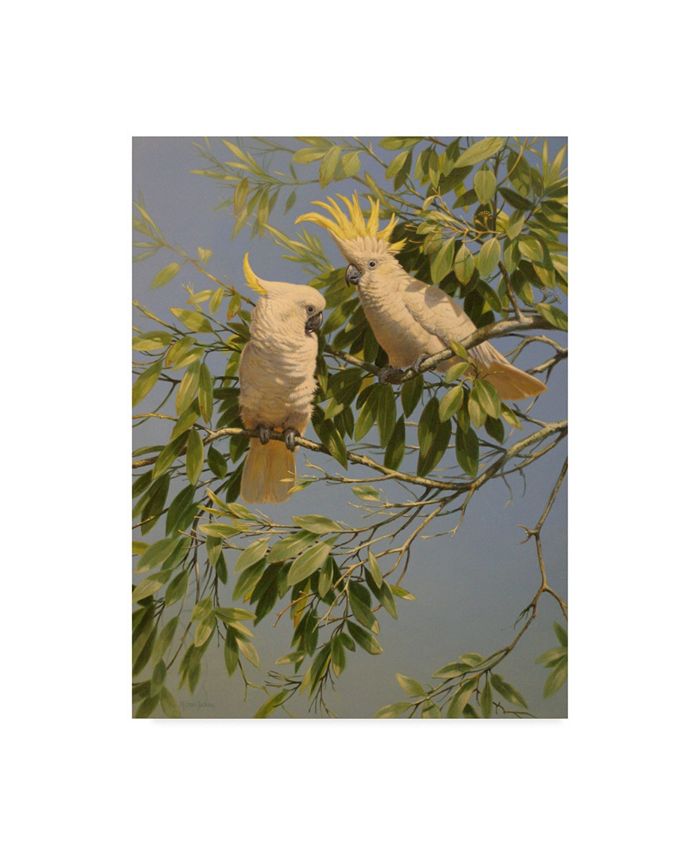 Trademark Global Michael Jackson 'Curious Macaws' Canvas Art - 35" x 47 ...