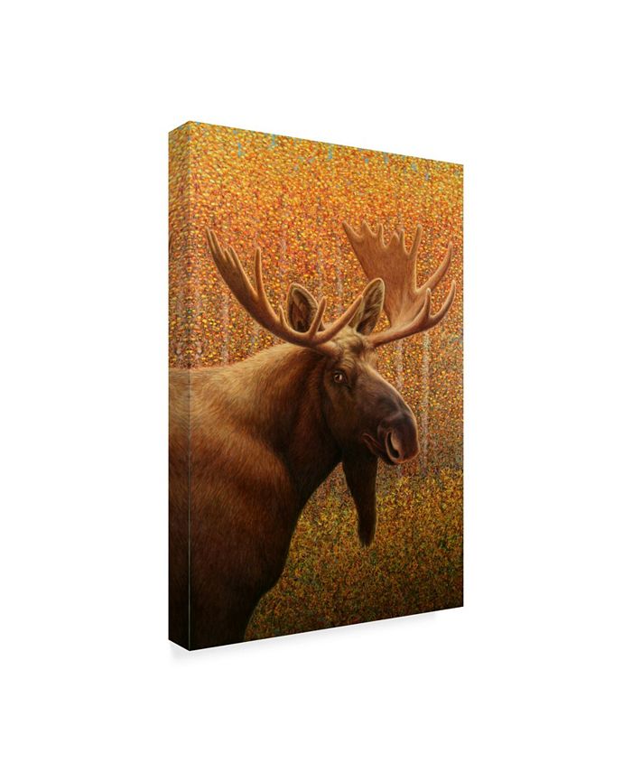 Trademark Global James W. Johnson 'Moose' Canvas Art - 30" x 47" - Macy's