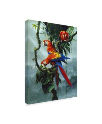 Trademark Global Harro Maass 'Red And Yellow Macaws' Canvas Art - 14" x ...
