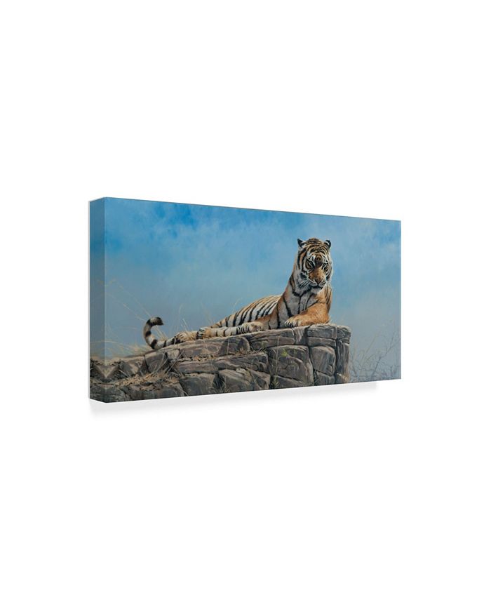 Trademark Global Michael Jackson 'Tiger On Rock' Canvas Art - 47" x 24 ...