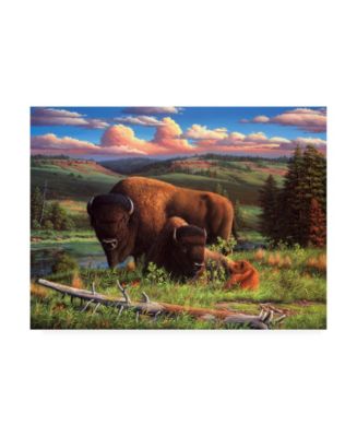 R W Hedge Buffalo Nation Canvas Art - 27" x 33.5" - Macy's