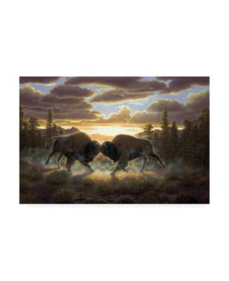 Trademark Global R W Hedge Buffalo Two Canvas Art - 27" x 33.5" - Macy's