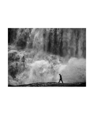 Trademark Global David Senechal Photographie Quiet Noise Canvas Art ...