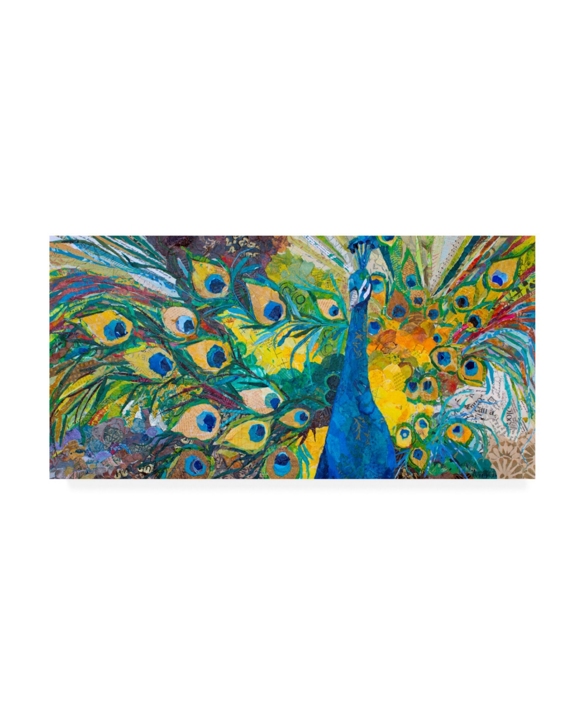 Click here for Elizabeth St. Hilaire Percy Peacock I Canvas Art -... prices