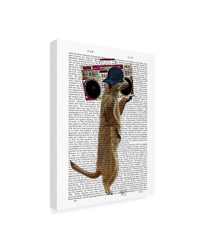 Trademark Global Fab Funky Meerkat with Boom Box Canvas Art - 19.5" x ...
