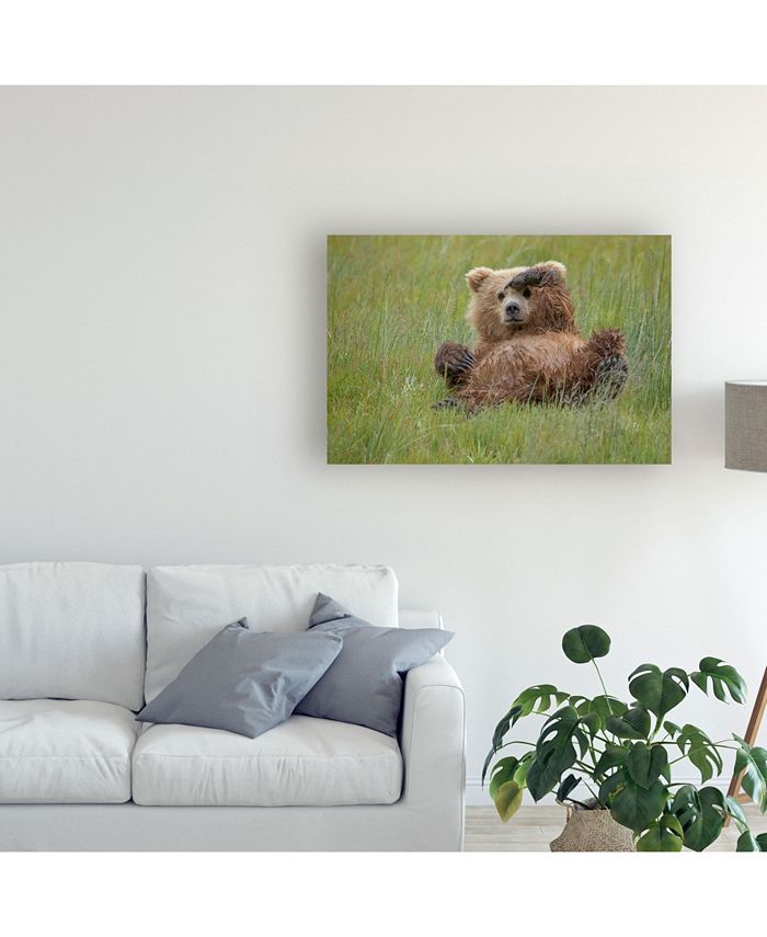 Trademark Global Renee Doyle Whos There Canvas Art - 37" x 49" - Macy's