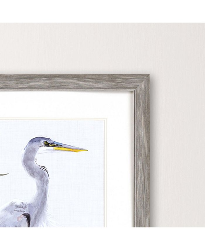 Paragon Picture Gallery Paragon Waterbirds I Framed Wall Art, 44" x 36 ...