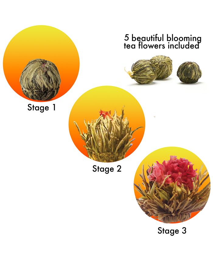 Primula Flowering Teas Gift Set - Macy's