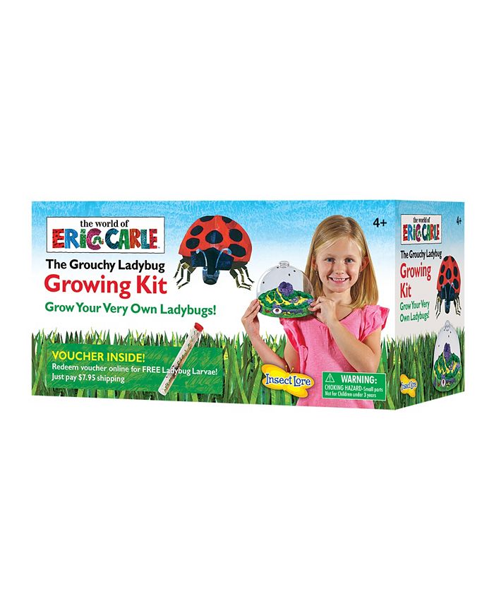 Insect Lore STEM Educational Ladybug Life Cycle Growing Kit - Macy's