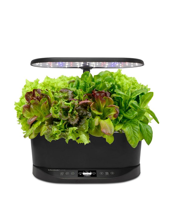 AeroGarden Bounty Basic - Macy's