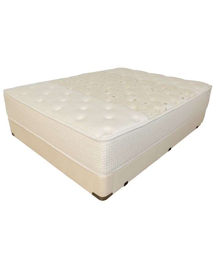Paramount Nature's Spa by Serenity 14" Cushion Firm Mattress Set- King ...