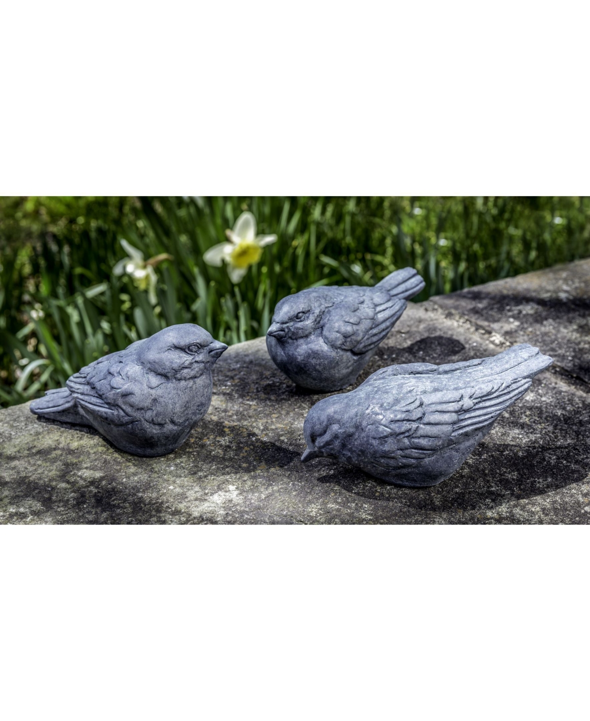 Click here for Campania International Trio DOiseaux Garden Statue... prices