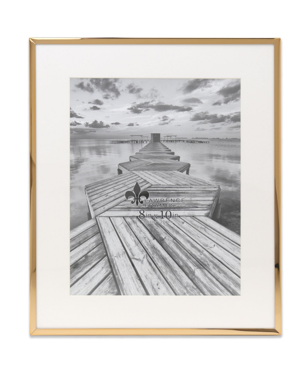 Click here for Elegant Metal Picture Frame with Bevel Cut Mat for... prices