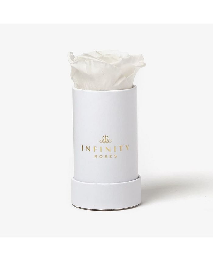 Infinity Roses Single White Real Rose Preserved To Last Over A Year ...