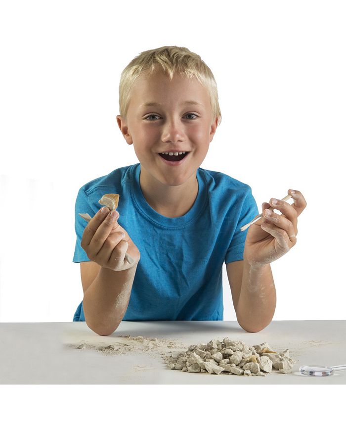 National Geographic Shark Tooth Dig Kit - Macy's
