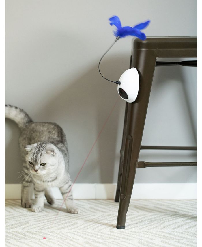 PawsMark Interactive 2-In-1 Spring Feather and Red Light Chaser Cat Toy ...
