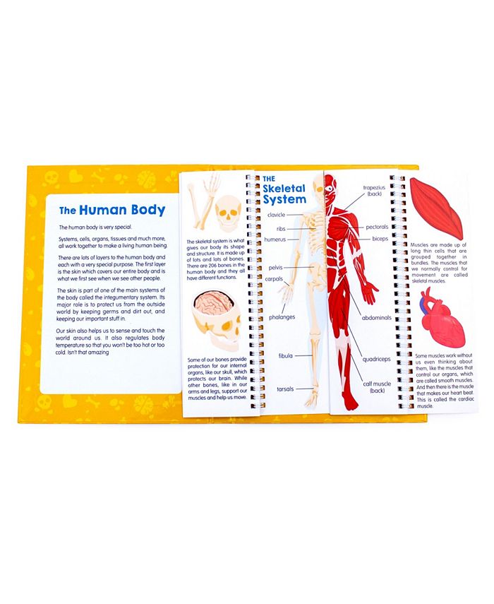 Junior Learning Anatomy Flips Educational Learning Book Macy S