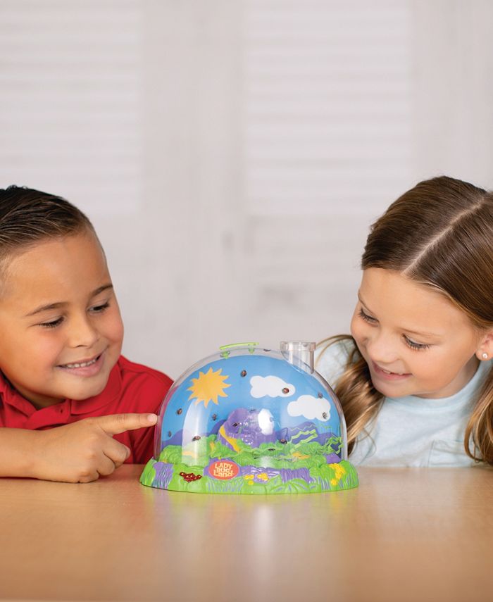 Insect Lore STEM Educational Ladybug Life Cycle Growing Kit - Macy's