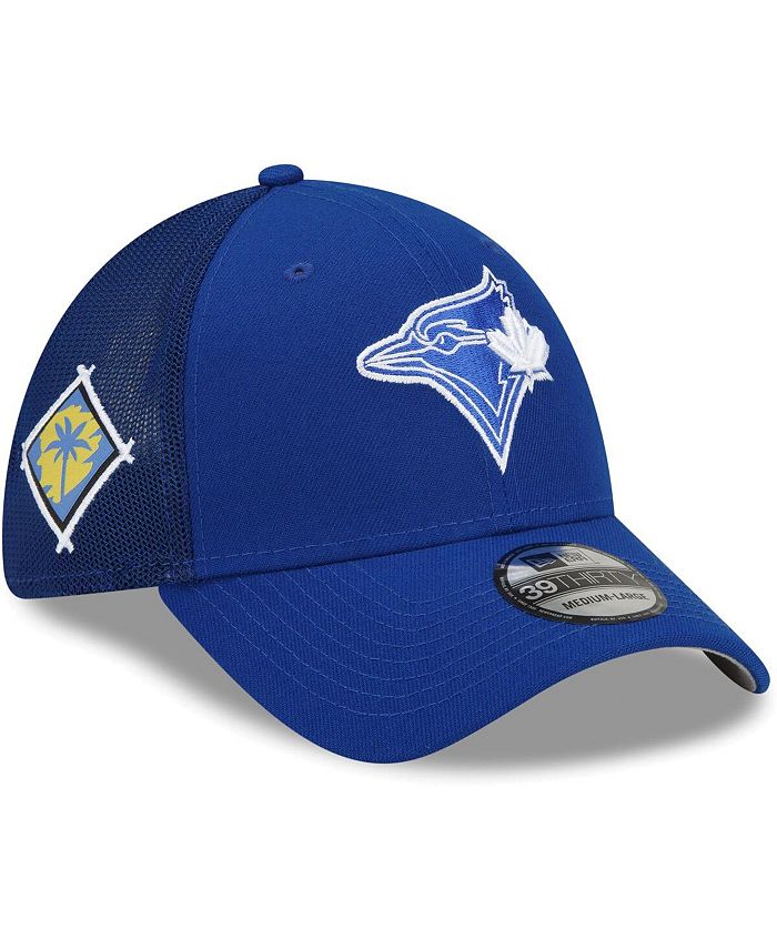 New Era Men's Royal Toronto Blue Jays 2022 Spring Training 39THIRTY ...