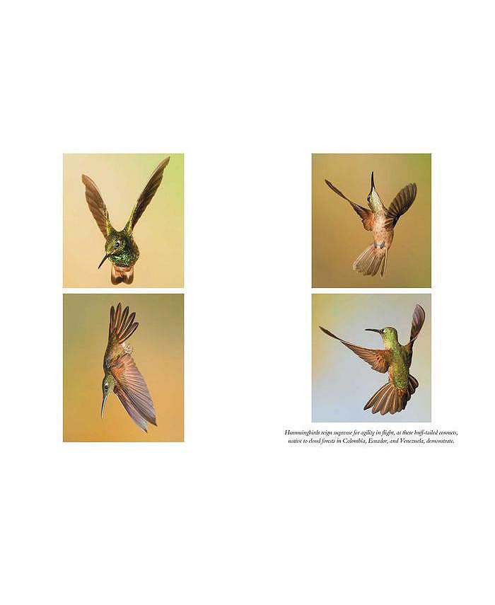 Barnes & Noble The Hummingbirds' Gift - Wonder, Beauty, and Renewal on ...