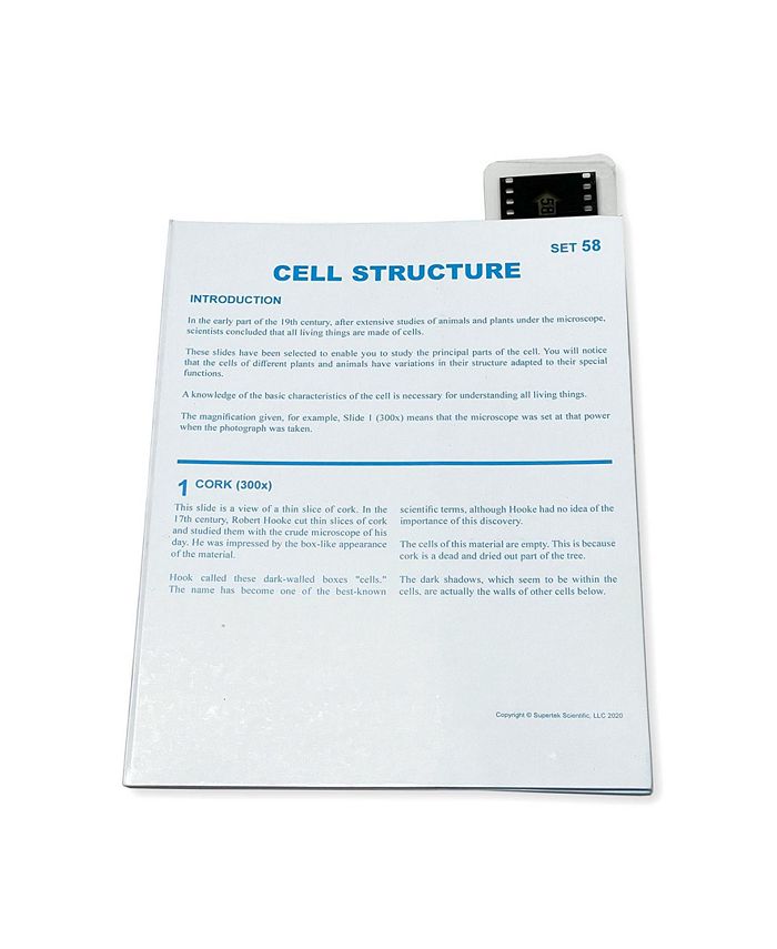 Supertek Microslide, Cell Structure - Macy's