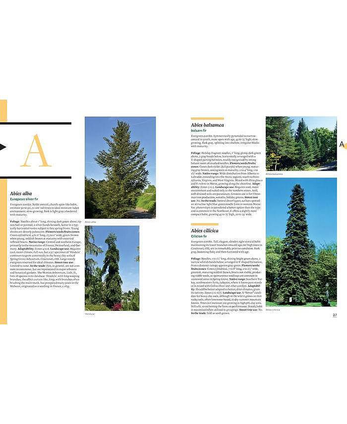 Barnes & Noble The Tree Book - Superior Selections for Landscapes, Streetscapes, and Gardens by ...
