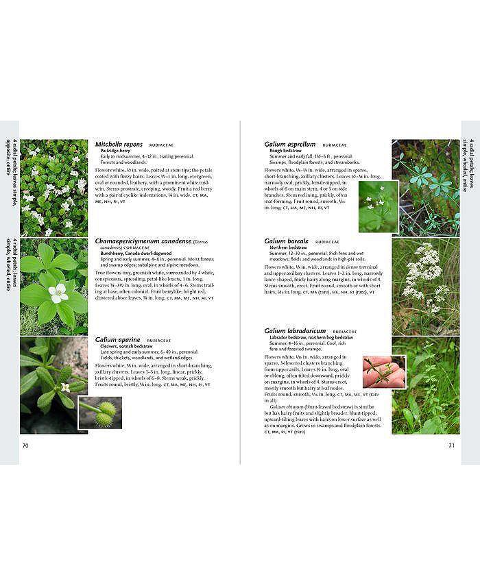 Barnes & Noble Wildflowers of the Pacific Northwest by Mark Turner - Macy's