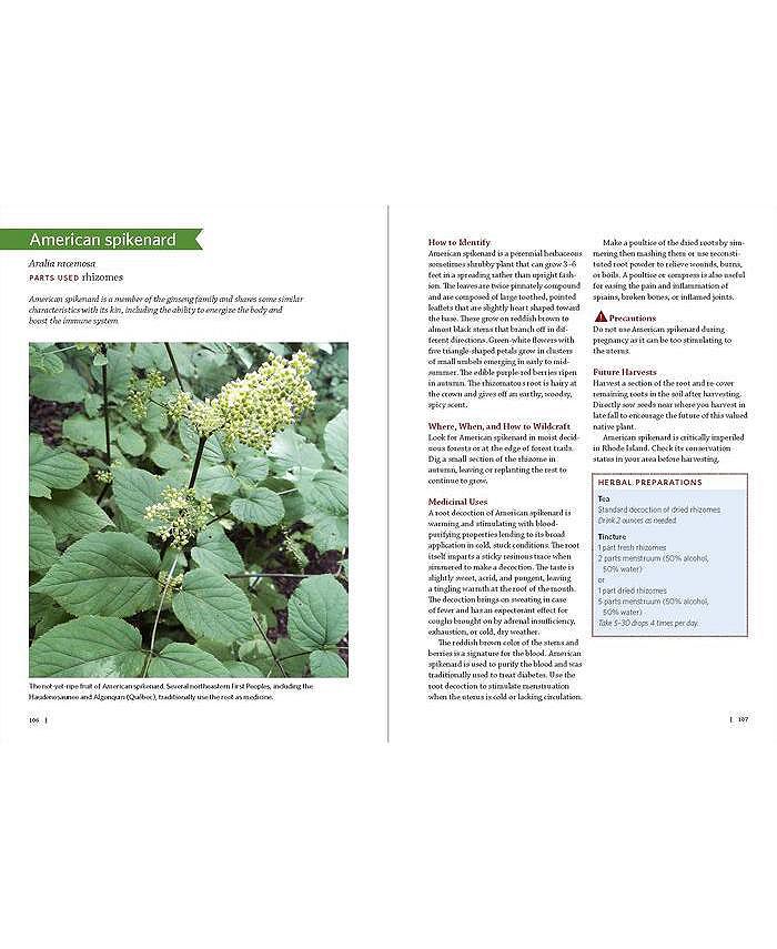 Barnes & Noble Northeast Medicinal Plants: Identify, Harvest, and Use 111 Wild Herbs for Health ...