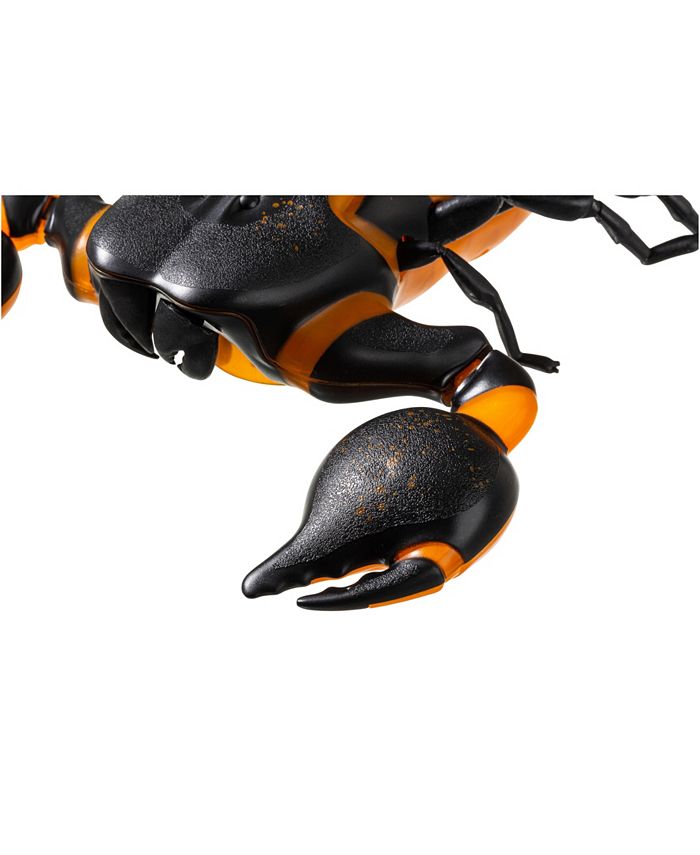 Discovery Kids RC Scorpion, Glow In The Dark Body, Wireless Remote ...