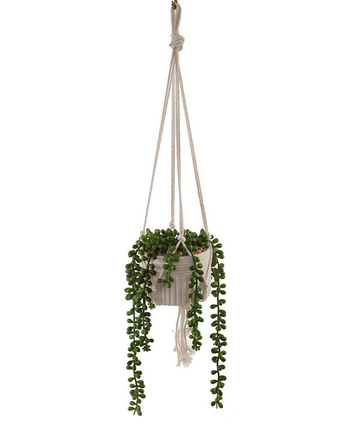 Flora Bunda String of Pearls Macrame Hanging Ceramic Pot Donkey Tails ...