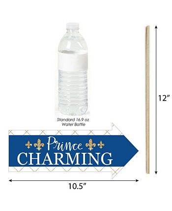 Big Dot of Happiness Funny Royal Prince Charming - Party Photo Booth ...