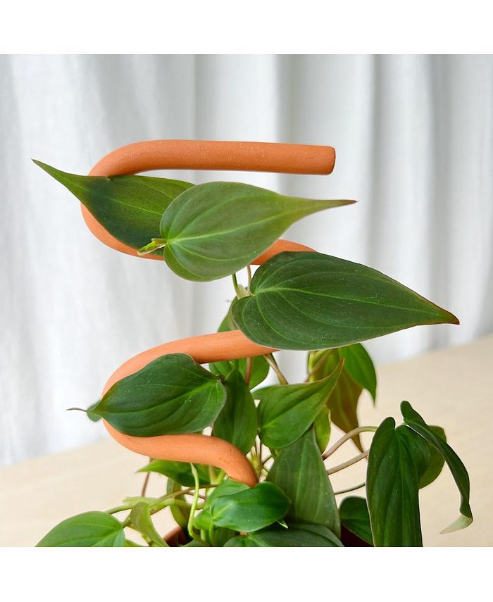 Tierra Sol Studio Plant Support Stake - Terracotta Wave - Macy's