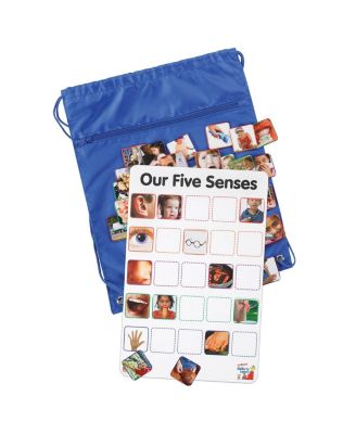 Kaplan Early Learning Company Our Five Senses Interactive Game - Macy's