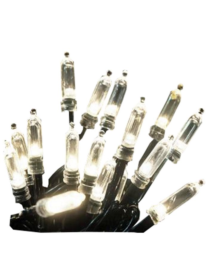 ECOPOTS PRODUCTWORKS White Brilliant Mini Led 150ct String Lights, 8 ...