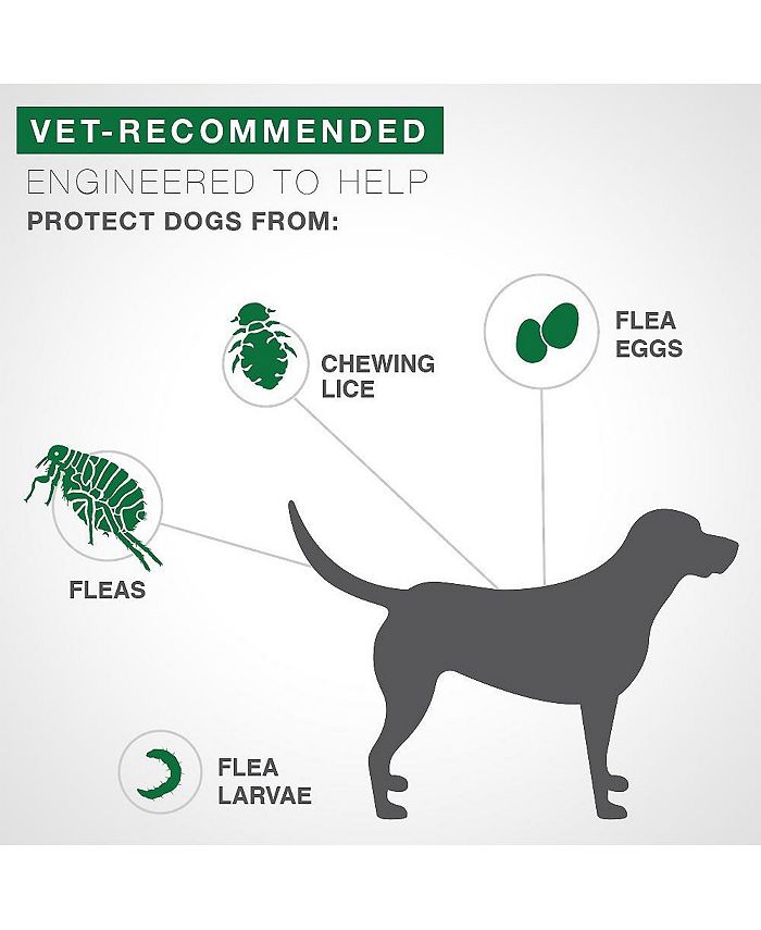 Elanco | Advantage II Flea Treatment for Dogs - Macy's