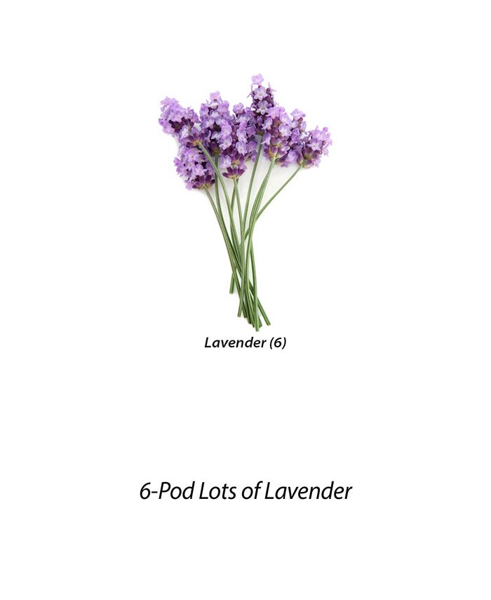Macy's AeroGarden Lots of Lavender Seed Pod Kit, 6-Pod - Macy's